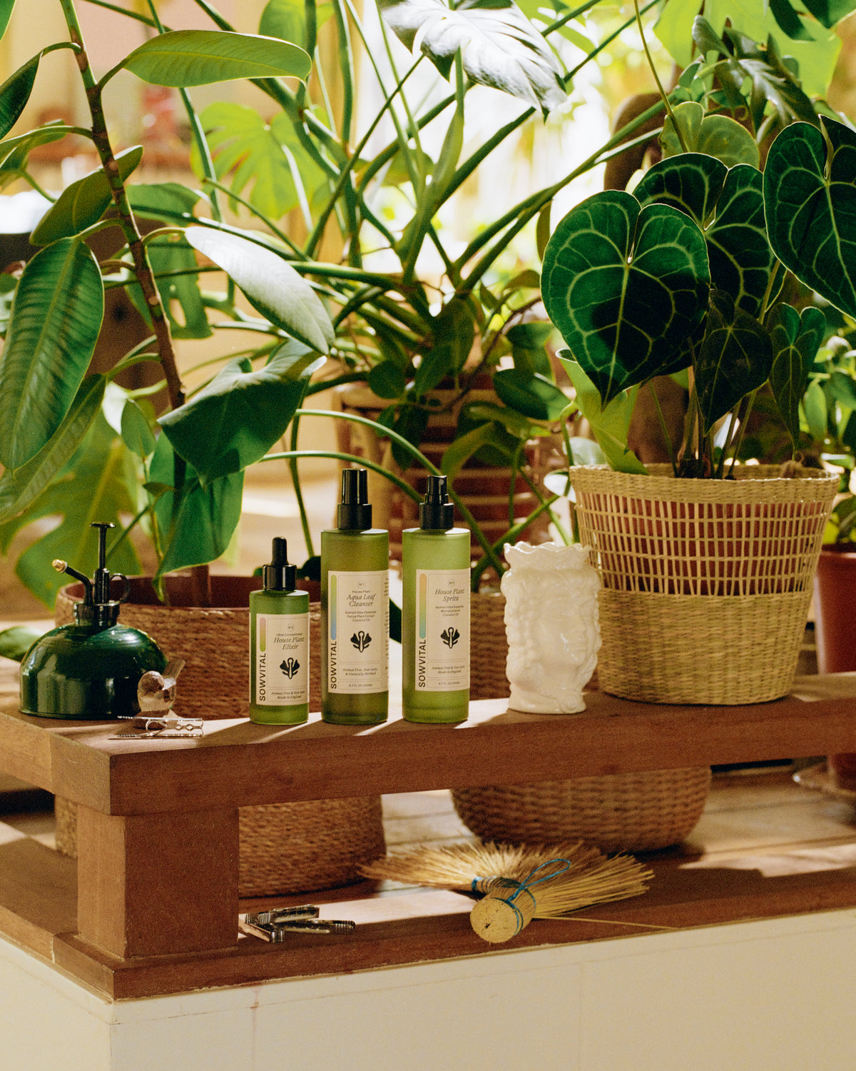 Shop Sowvital Three Step Care Kit, Indoor Plants Care - Plntd